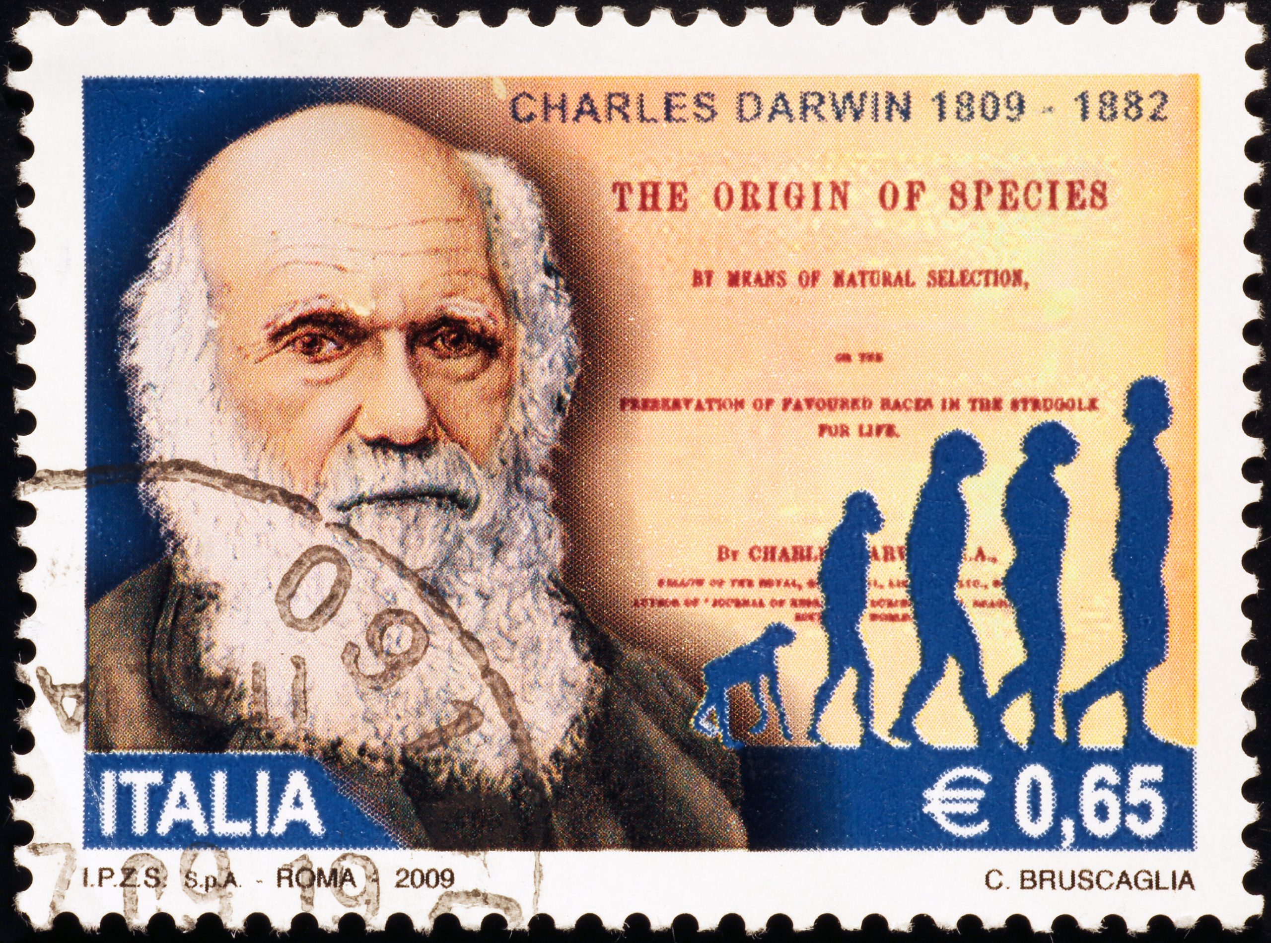 De l'évolution darwinienne aux « monstres prometteurs » de Richard ...